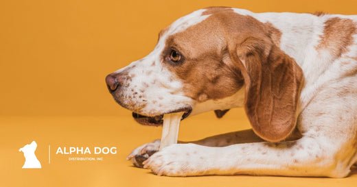 Yak Cheese for Dogs: Delight or Danger?