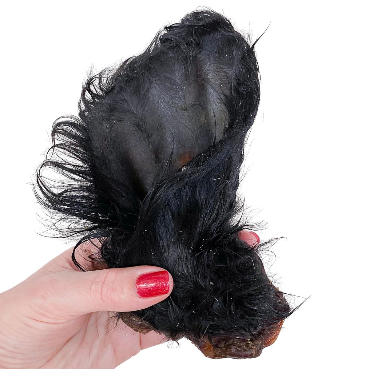 Beef Ear with Fur (Dehydrated)