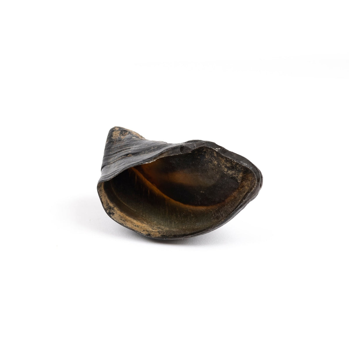 Odorless Beef Hoof for Dogs | Durable, Dental Health Chew