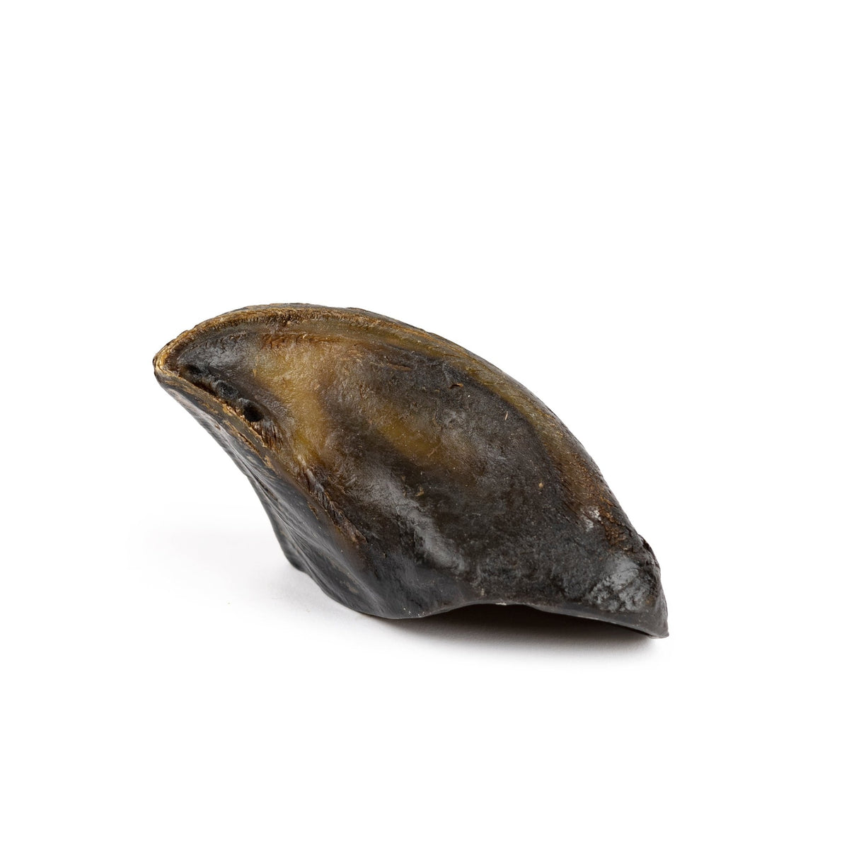 Odorless Beef Hoof for Dogs | Durable, Dental Health Chew