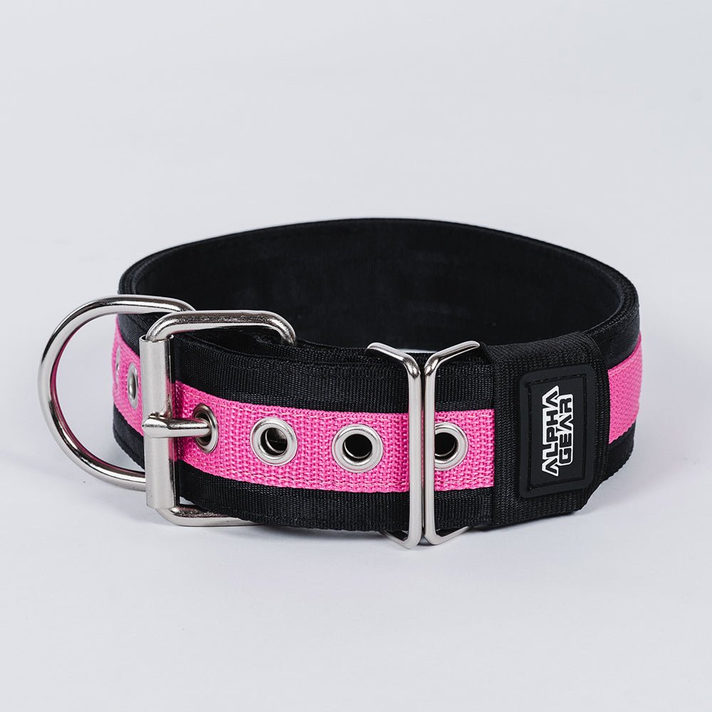 Ultimate Heavy Duty Dog Collars | Large-XL | Alpha Dog | TS